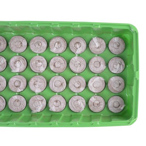 Mini plastenik Z 28 s Jiffy tabletom, 36x22x7cm — Bazzar.hr